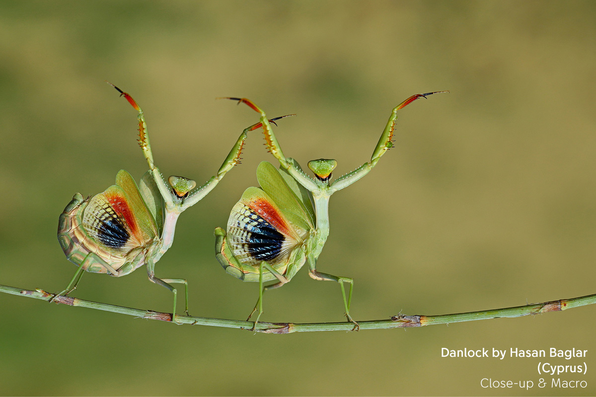 Announcing the winner of the CEWE Photo Award 2025 - CEWE